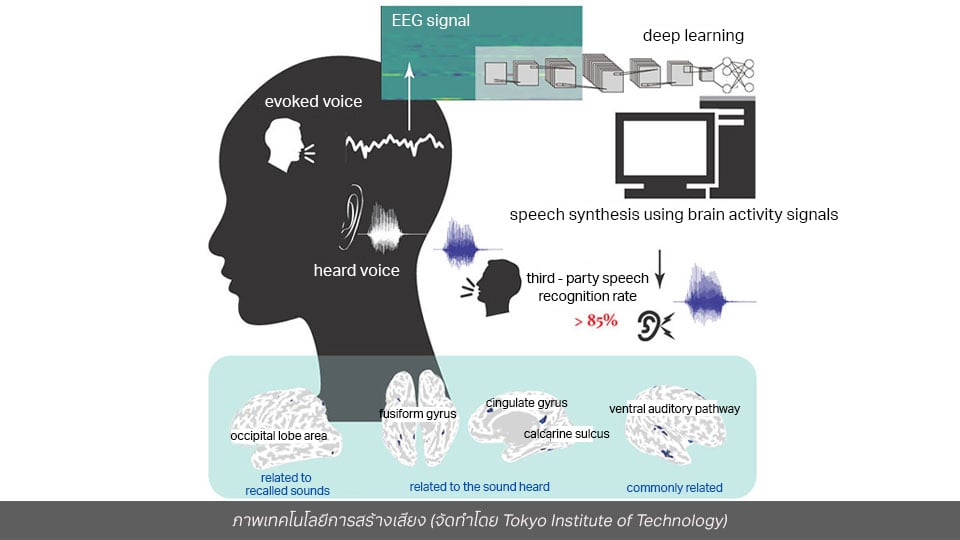 Japan Uses AI to Reproduce Voice from Brain Waves